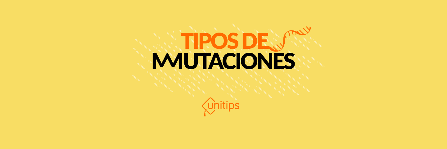 Tipos de mutaciones Tipos de mutaciones